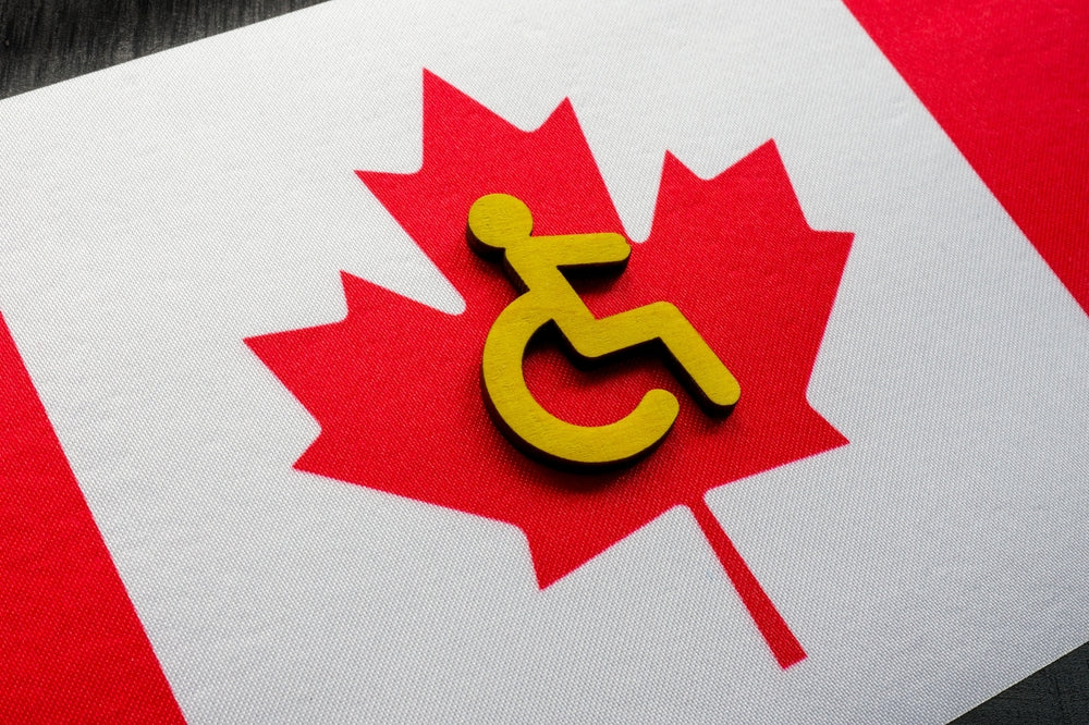The Access 2 Card: A Simple Way to Make Family Outings More Affordable ...